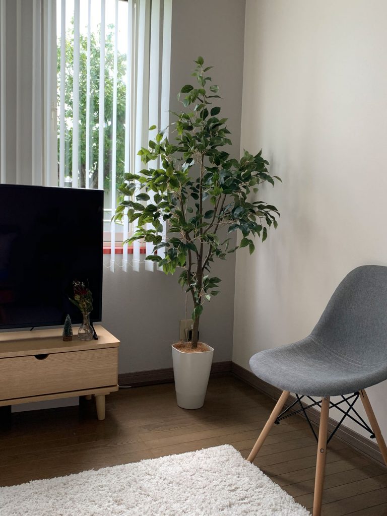 はじめて買う、リビングにおすすめのフェイクグリーン！ | コラム | プレミアム光触媒フェイクグリーン 造花ドットコム｜zouka.com